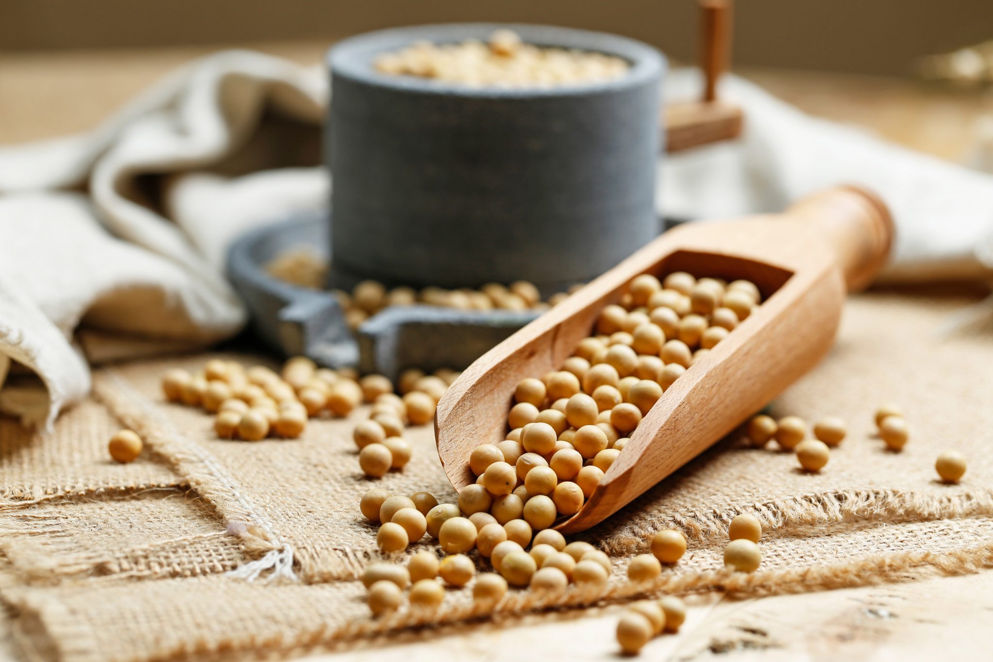 Soya Nutrition The Surprising Health Benefits Everyone Is Talking About